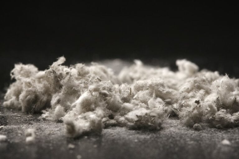 Asbestos in Plaster: Risk, Facts & FAQ | Home Grail