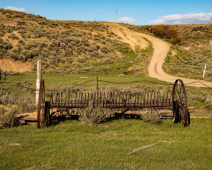 19 Types of Rakes & Their Uses (With Pictures) | Home Grail