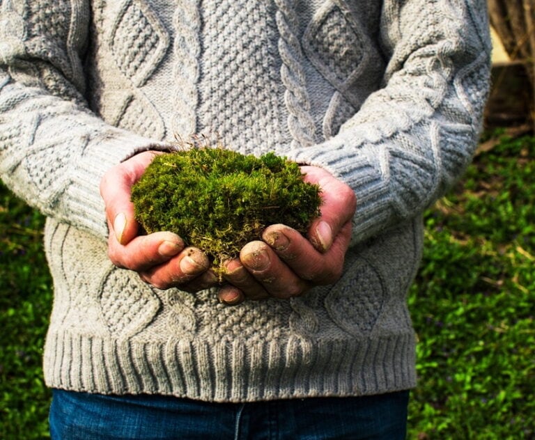 How to Get Rid of Moss in Your Garden Beds: 6 Methods That Work | Home ...