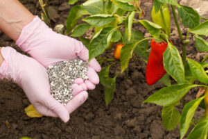 12 Best Organic Fertilizers for Vegetable Gardens in 2026 - Reviews ...