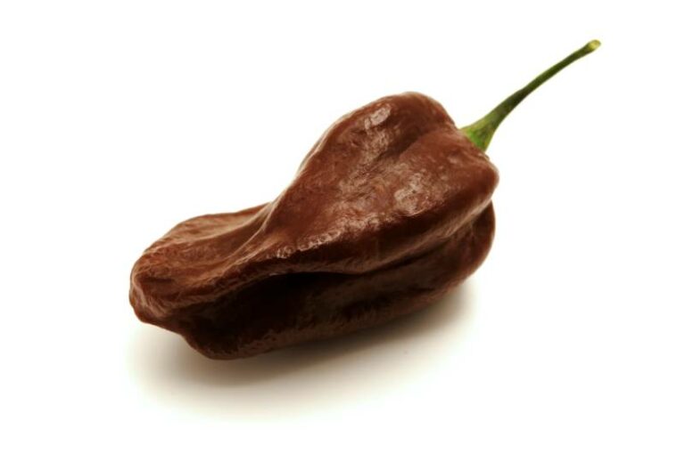 19 Types of Habanero Peppers: An Overview (With Pictures) | Home Grail