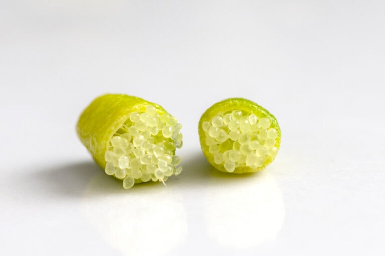 15 Types of Lime (With Pictures) | Home Grail