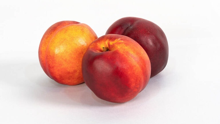 56 Nectarine Varieties: An Overview (With Pictures) | Home Grail