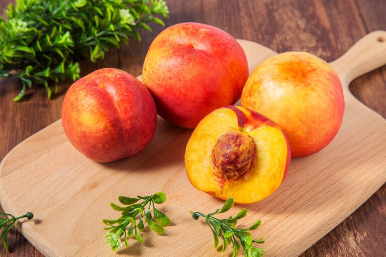 56 Nectarine Varieties: An Overview (With Pictures) | Home Grail