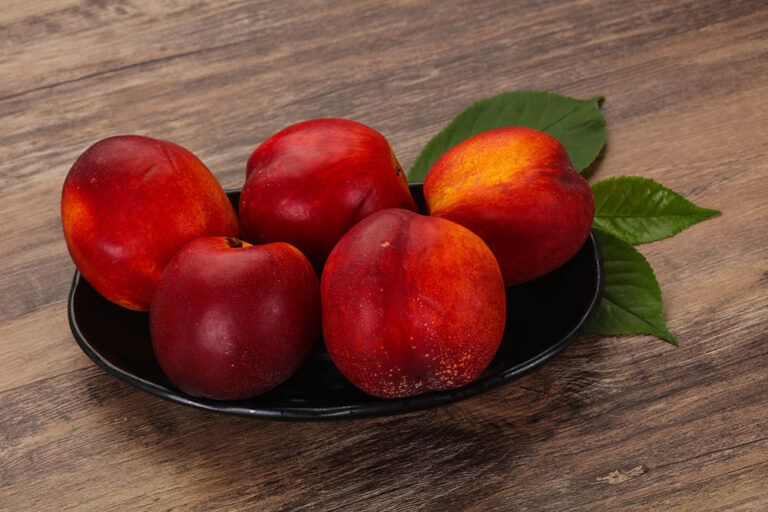 56 Nectarine Varieties: An Overview (With Pictures) | Home Grail
