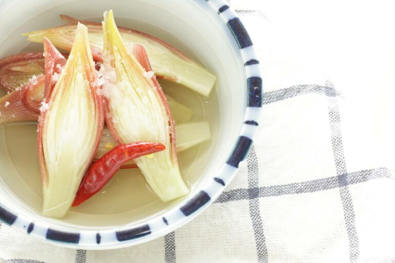 19 Best Ginger Plant Varieties to Grow at Home (With Pictures) | Home Grail