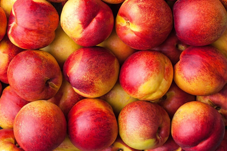 56 Nectarine Varieties: An Overview (With Pictures) | Home Grail