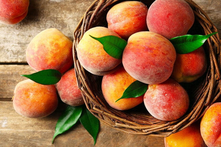 56 Nectarine Varieties: An Overview (With Pictures) | Home Grail