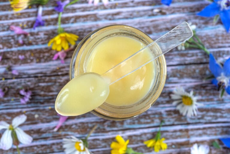 What Do Bees Eat? 6 Typical Foods | Home Grail