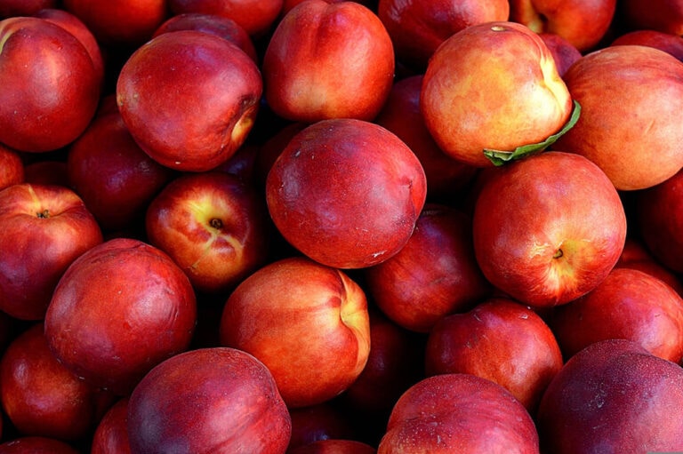56 Nectarine Varieties: An Overview (With Pictures) | Home Grail