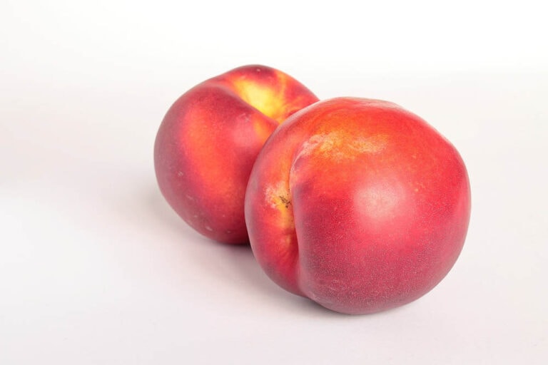 56 Nectarine Varieties: An Overview (With Pictures) | Home Grail