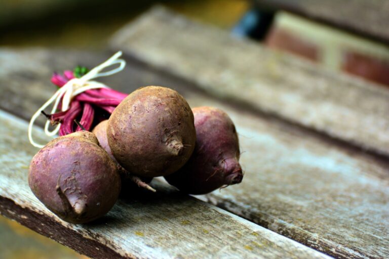 8 Types of Turnips - An Overview (with Pictures) | Home Grail