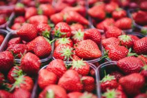 28 Best Strawberry Varieties to Grow at Home (With Pictures) | Home Grail