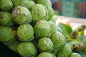 14 Best Brussels Sprout Varieties to Grow at Home (with Pictures ...