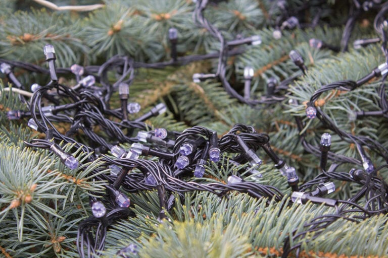 How to Recycle Your Christmas Lights - Step by Step Guide | Home Grail