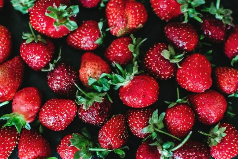 28 Best Strawberry Varieties to Grow at Home (With Pictures) | Home Grail