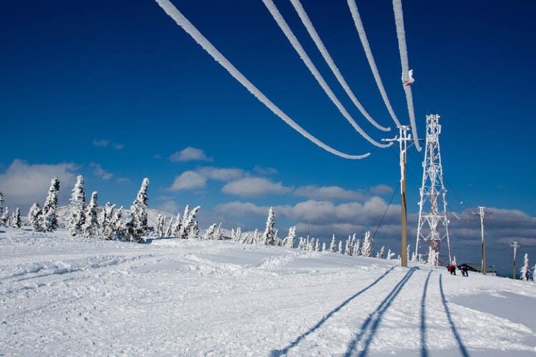 How Much Ice Can Power Lines Handle: All You Need to Know! | Home Grail