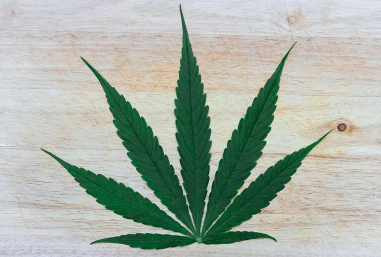 Hemp Wood as a Building Material: Pros, Cons, Guide & Properties | Home ...