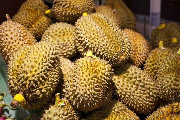 17 Types of Jackfruits: An Overview (With Pictures) | Home Grail