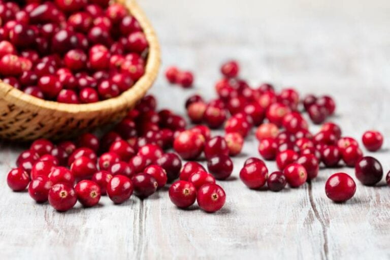 9 Types of Cranberries (With Pictures) | Home Grail