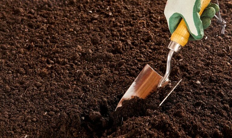 5 Types of Garden Trowels: Uses, Pros & Cons (With Pictures) | Home Grail