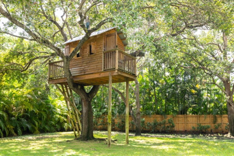 How to Build a Treehouse - 8 Effective Tips | Home Grail