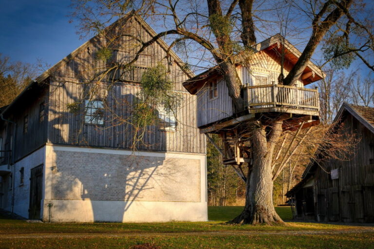 Can You Live in a Treehouse? Safety, Advantages & Disadvantages | Home ...