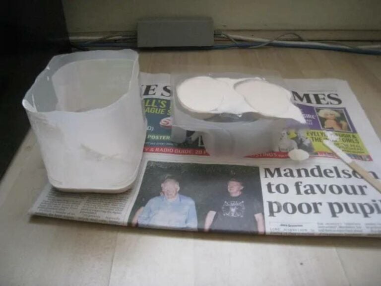 10 Effective DIY Mouse Repellents That You Can Make Today (With ...