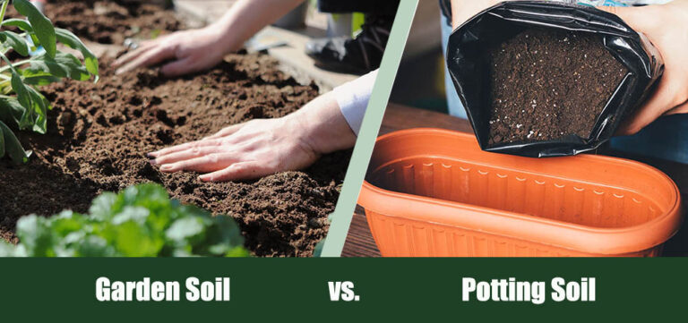 Garden Soil Vs. Potting Soil: Pros, Cons, Differences, & FAQ | Home Grail