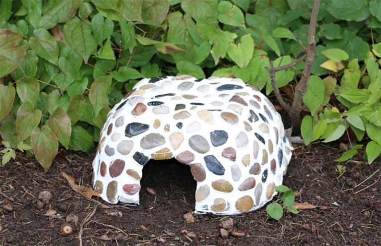 6 Amazing DIY Toad House Plans for Your Garden (With Pictures) | Home Grail