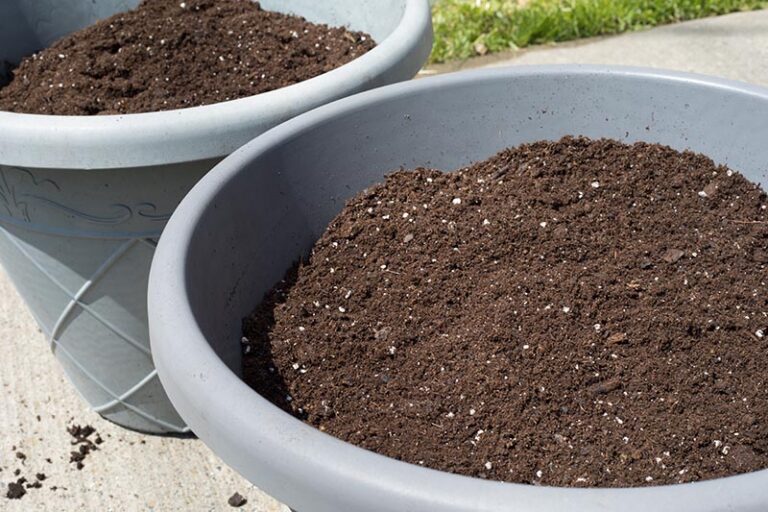 7 Best Well-Draining Potting Soils in 2025 - Reviews & Top Picks | Home ...
