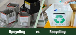 Upcycling vs. Recycling: How Are They Different? Which Is Better ...