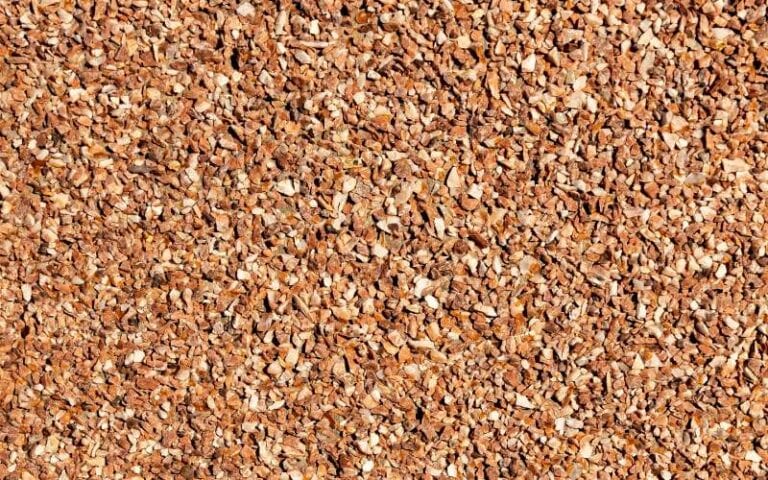 What Is Horticultural Sand? Pros, Cons and FAQs | Home Grail