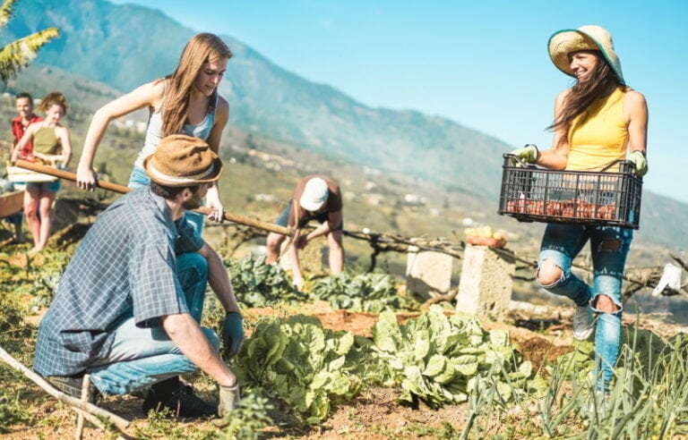 What Is a Community Garden? Benefits & Planning | Home Grail