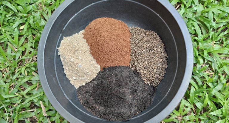 5 DIY Easy Recipes for Well-Drained Soil Mix You Can Try Today | Home Grail
