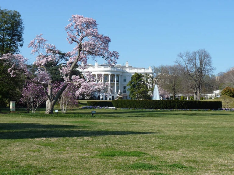When Was The White House Built? History, Renovations, & Value | Home Grail