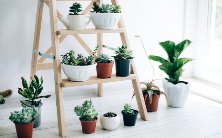 11 DIY Ladder Plant Stands Plans That You Can Make Today (With Pictures ...