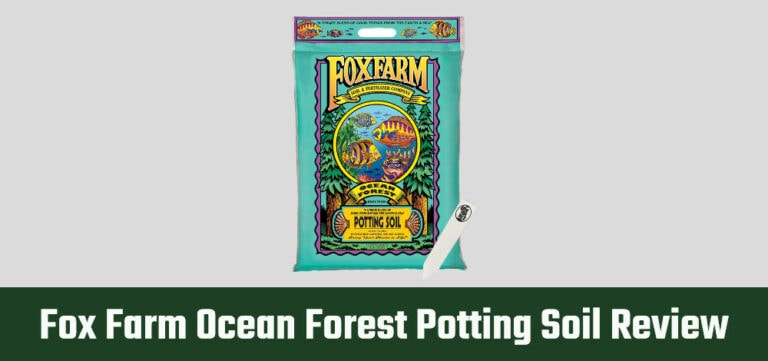 Fox Farm Ocean Forest Potting Soil Review 2026 - Pros, Cons & Final ...