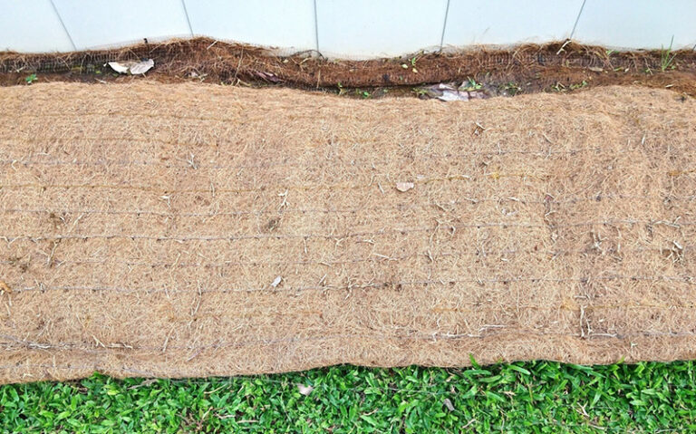 How to Stop Erosion in Your Yard: 7 Expert Tips | Home Grail