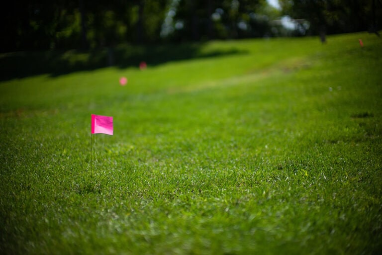 Why Are There Utility Flags in My Yard (8 Likely Reasons) | Home Grail