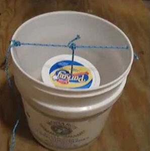 5 DIY Bucket Mouse Traps You Can Make Today | Home Grail