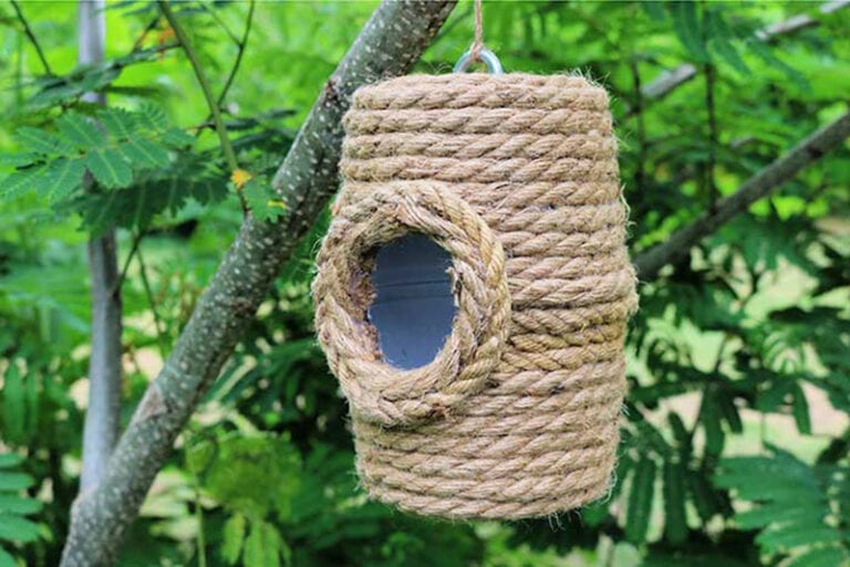 10 DIY Hummingbird House Plans You Can Build Today (With Pictures ...