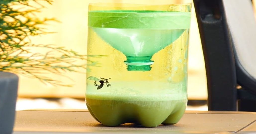 8 DIY Mosquito Traps You Can Try Today (With Pictures) | Home Grail