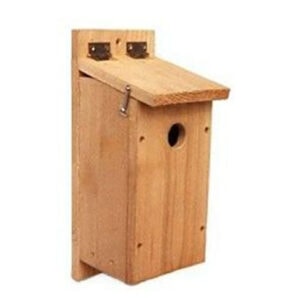 15 DIY Wren Bird House Plans You Can Build Today (With Pictures) | Home ...