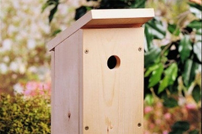 15 DIY Wren Bird House Plans You Can Build Today (With Pictures) | Home ...